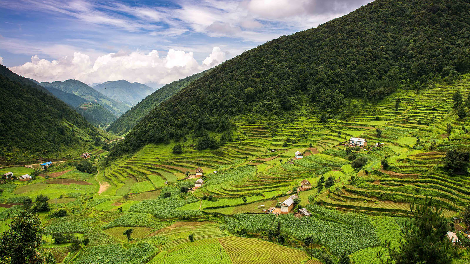 Campaign Priorities | FUTURE FORWARD Campaign