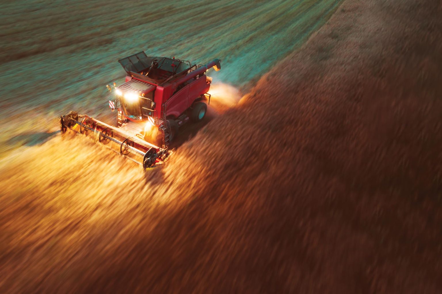 FUTURE FORWARD Campaign | Danforth Plant Science Center